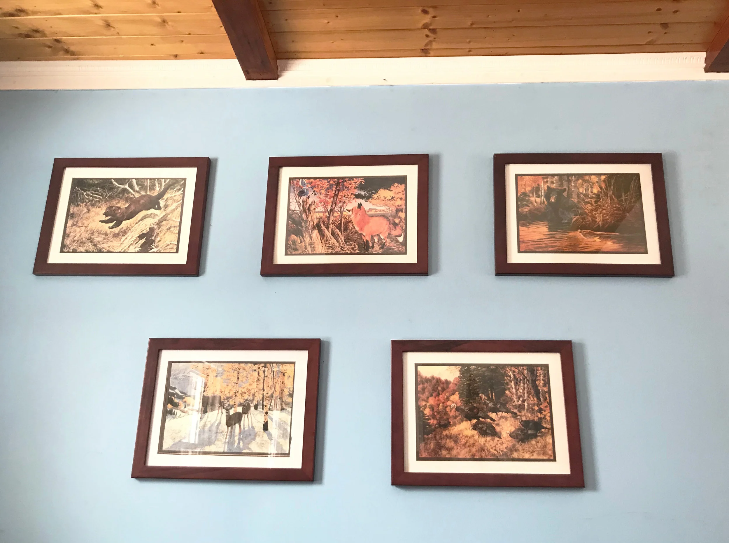 The Art of Furbearer Conservation — Furbearer Conservation