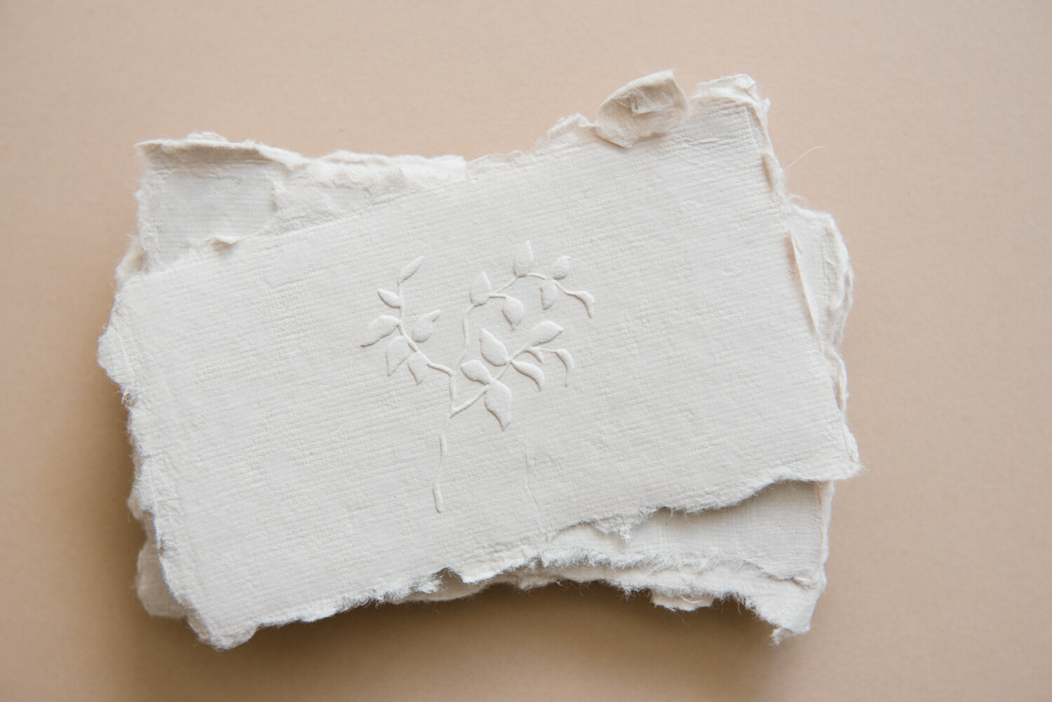 Design No.5 | Modern Leaf Paper Embosser.5 — Jenny Sanders