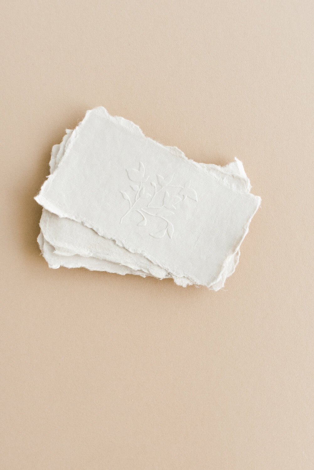 Design No.8 | Branch Leaf Embosser — Jenny Sanders