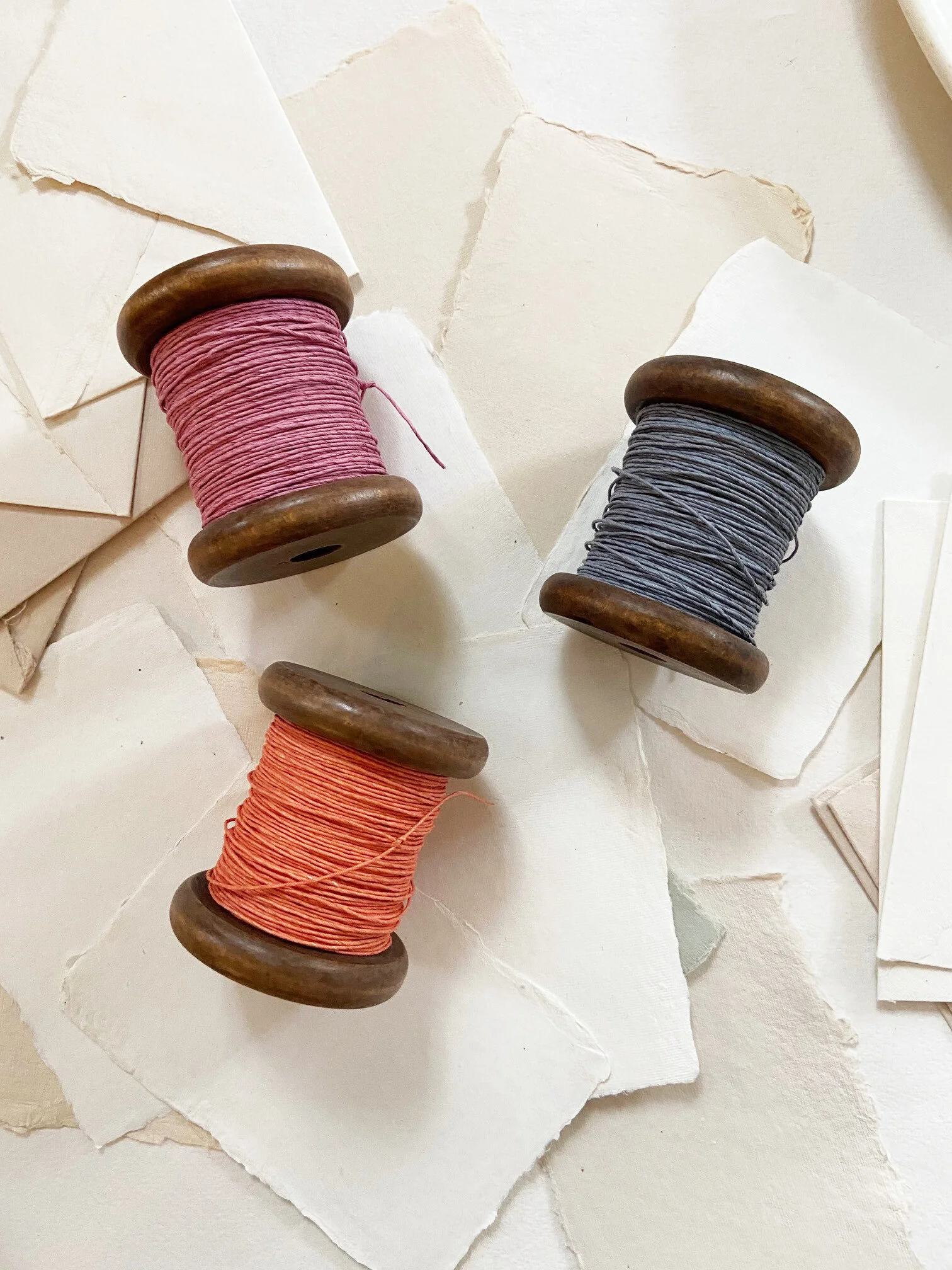 Meduim Paper Twine - Colors — Jenny Sanders