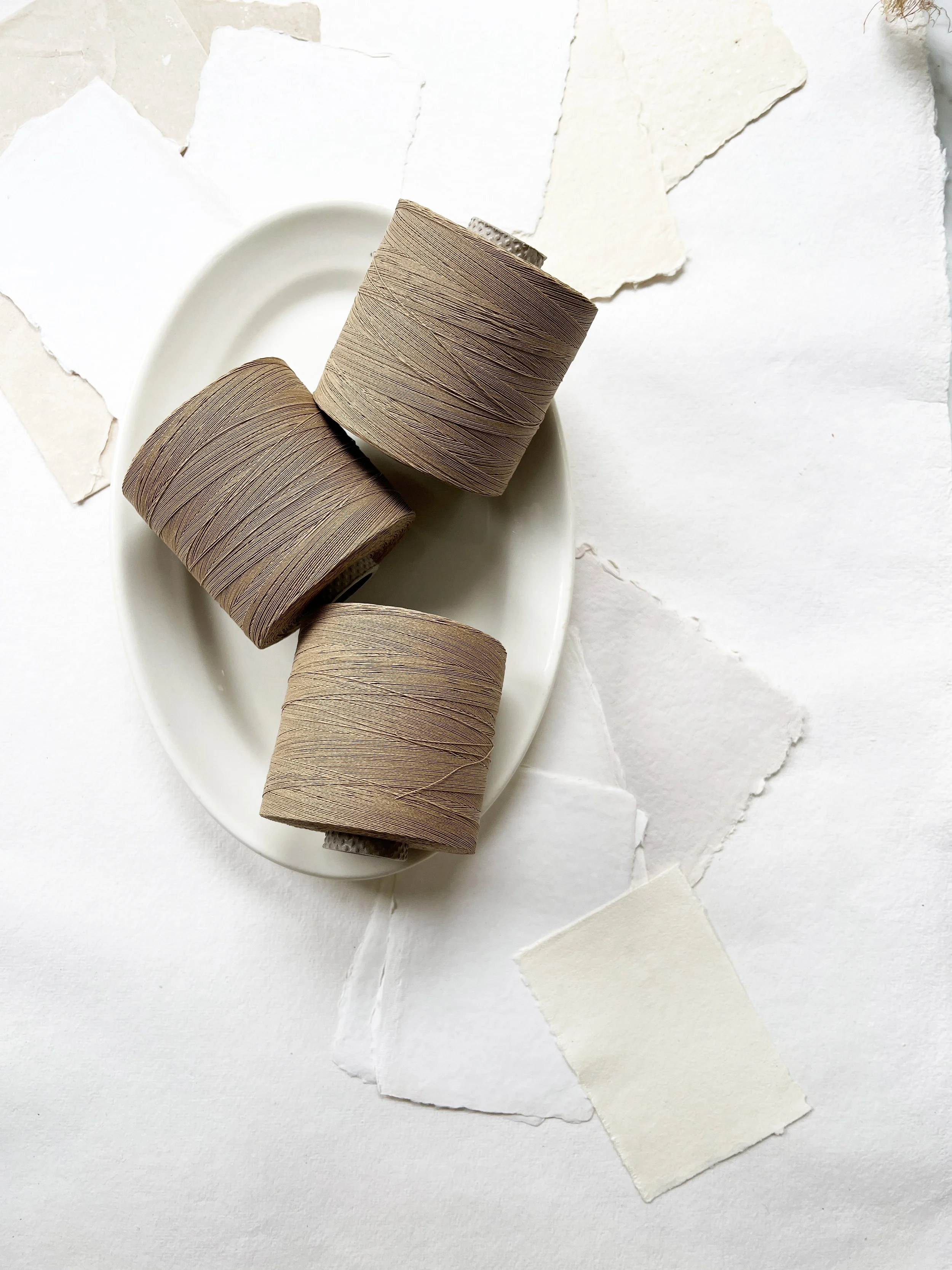 Shop — Jenny Sanders