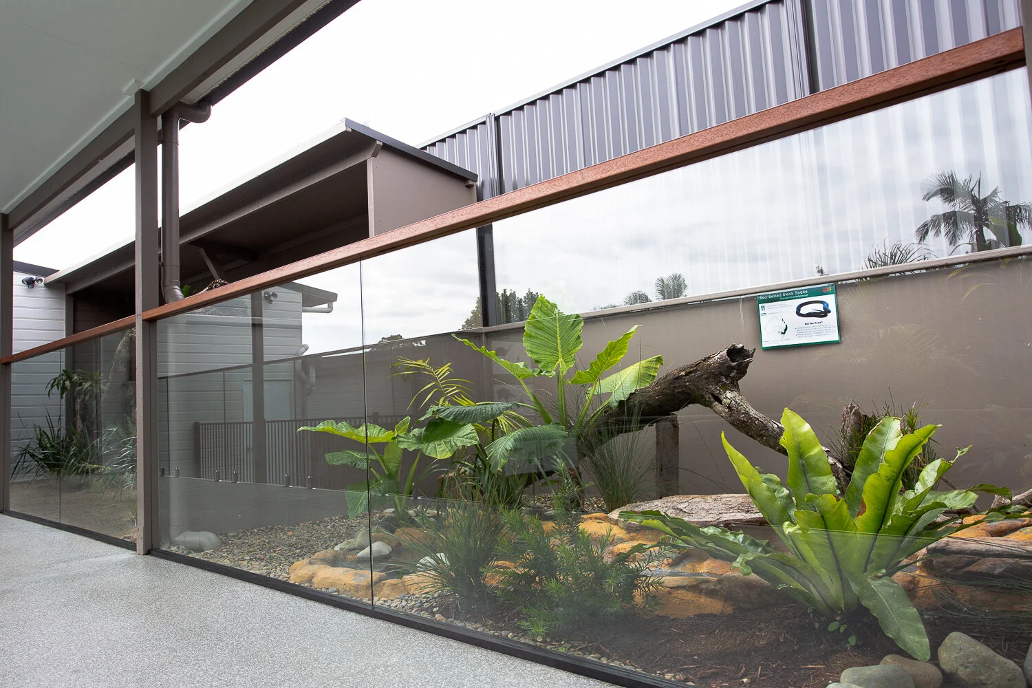Reptile Centre — Reptile World