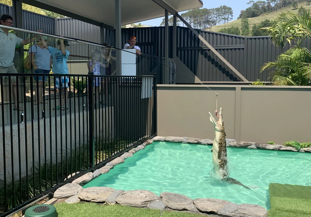 Reptile Centre — Reptile World