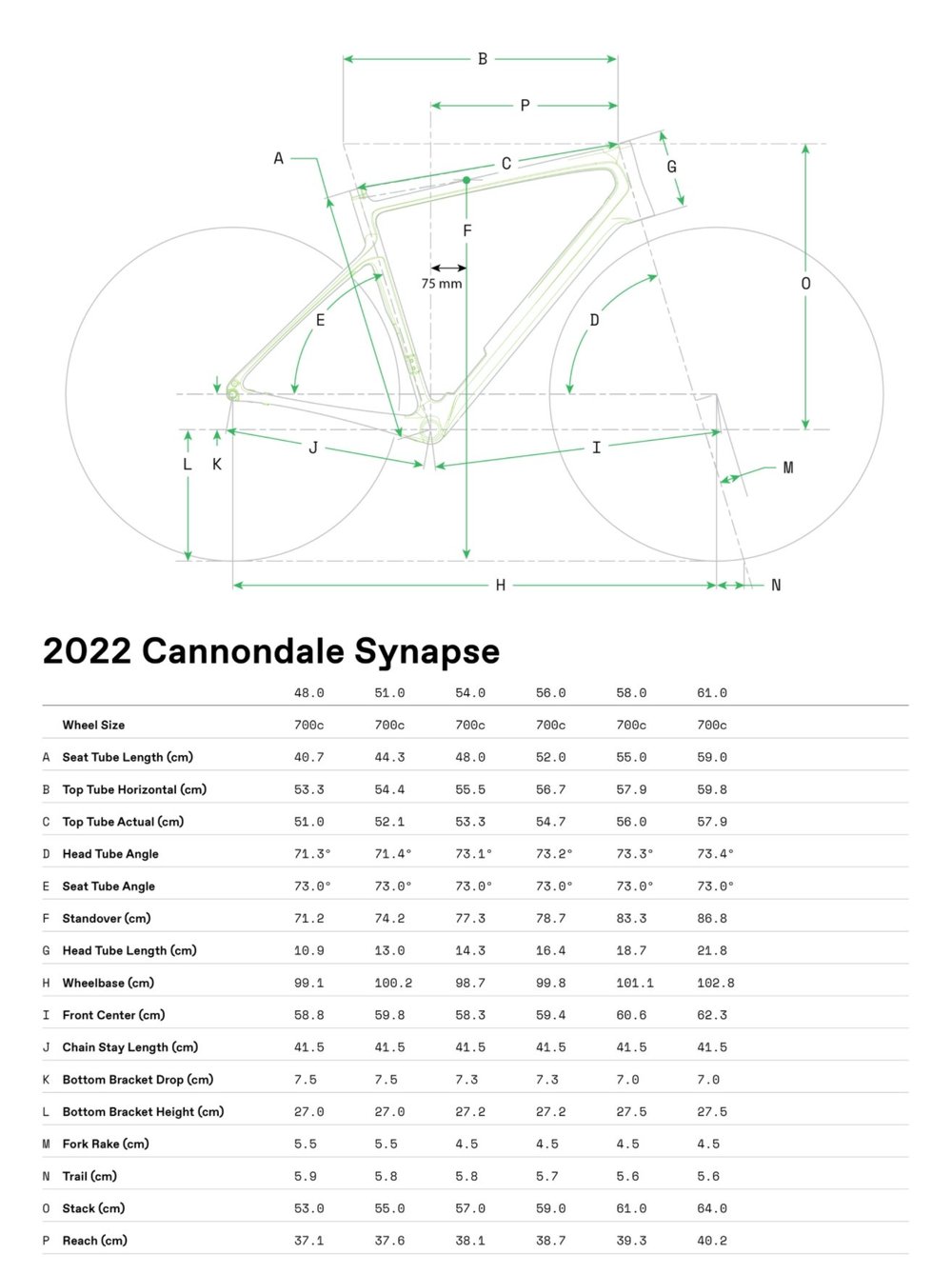 Cannondale Synapse Carbon 3 L - BCH - Black Cherry | Hup Leong Company ...