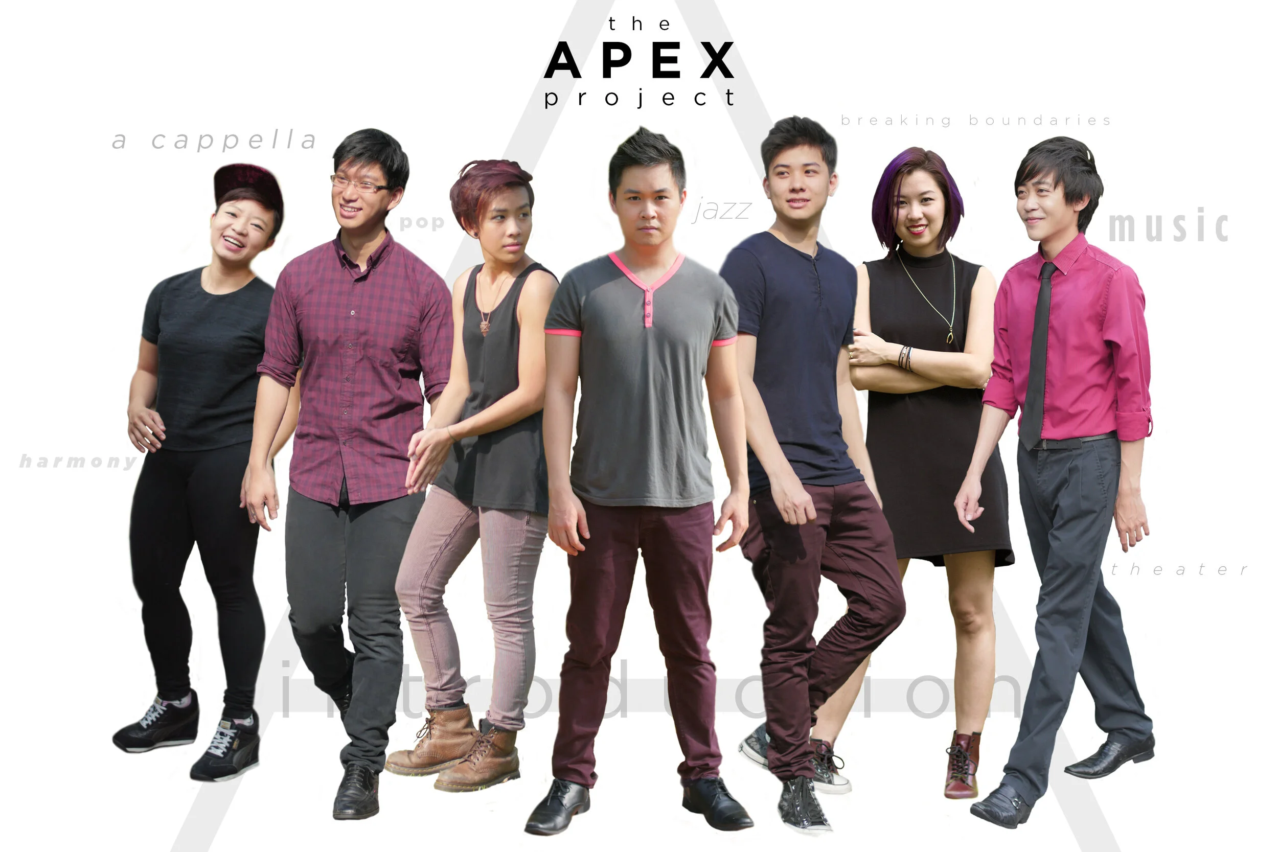 The journey begins Part 2 — The Apex Project