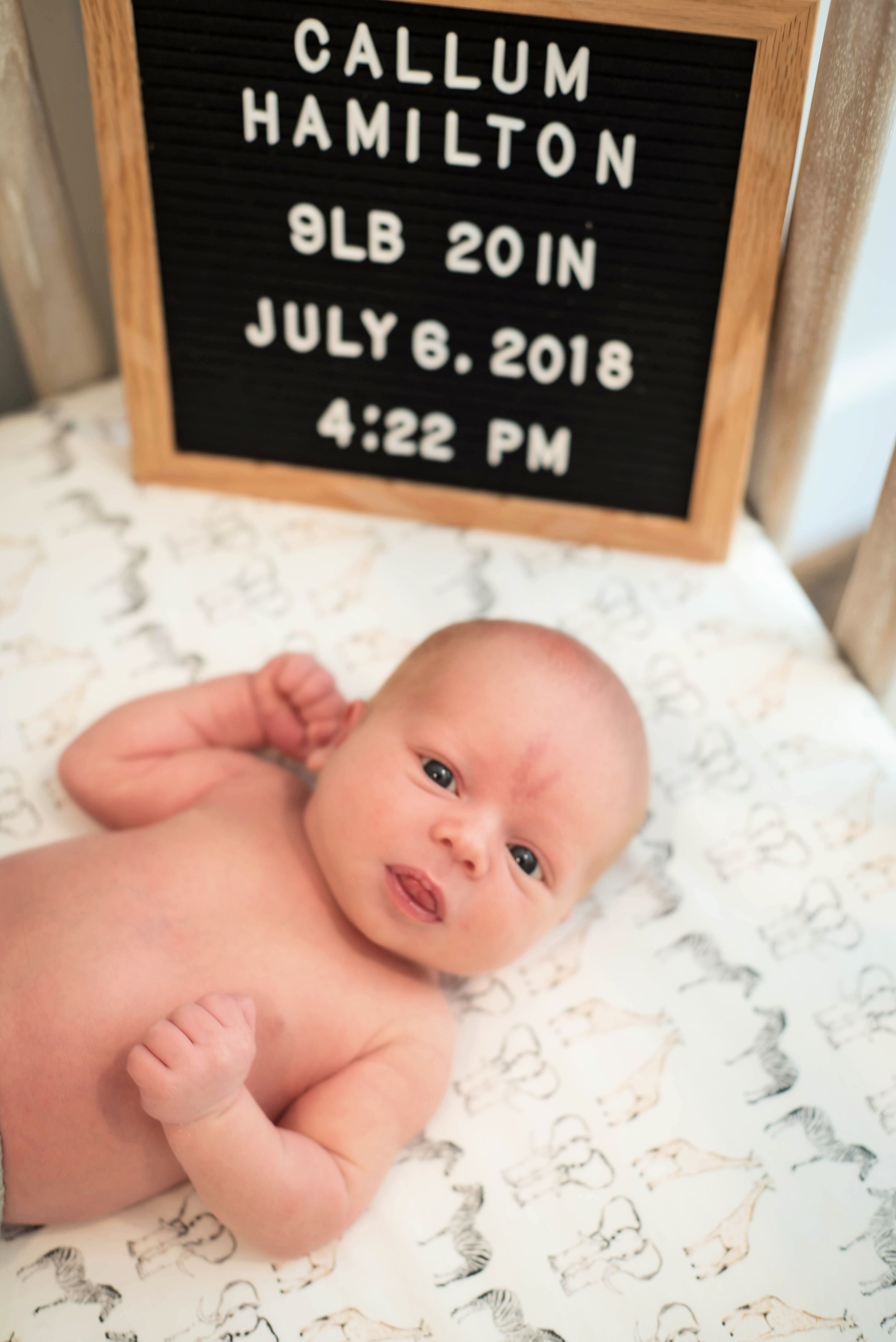 Meet Newborn Callum — Karin Lertora Photography