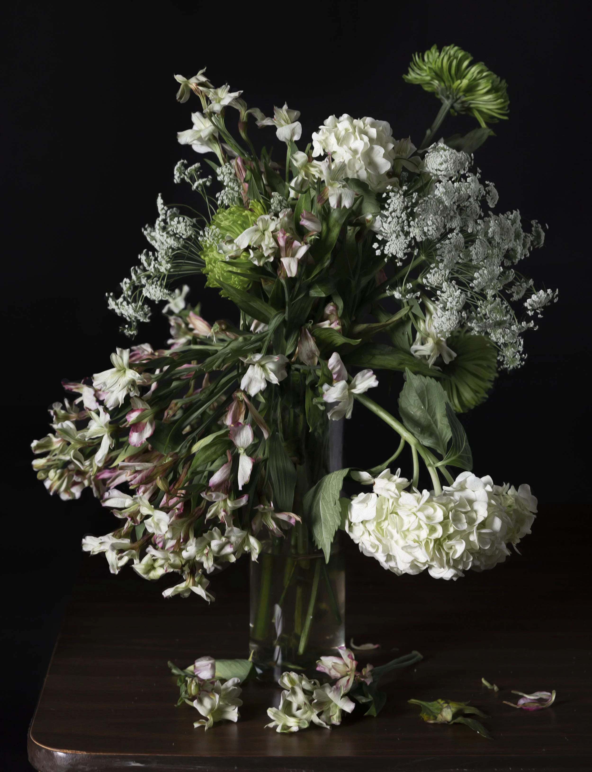 Studio Lighting — Julia Mattis Photography