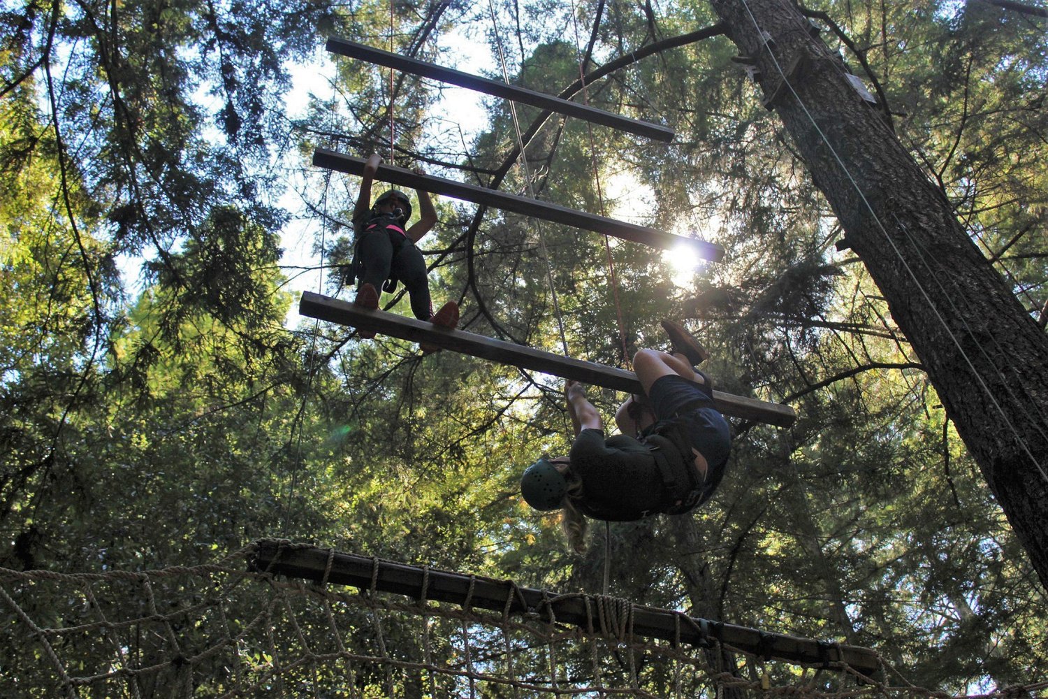 Challenge Course — Westminster Woods