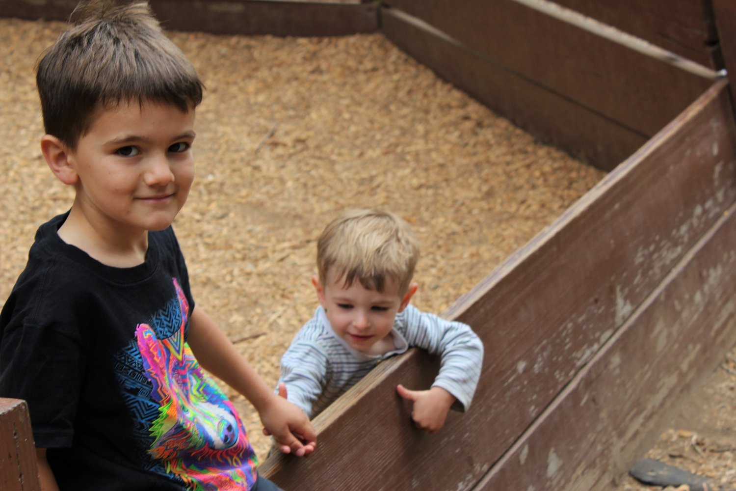 Summer Camp at the Woods — Westminster Woods