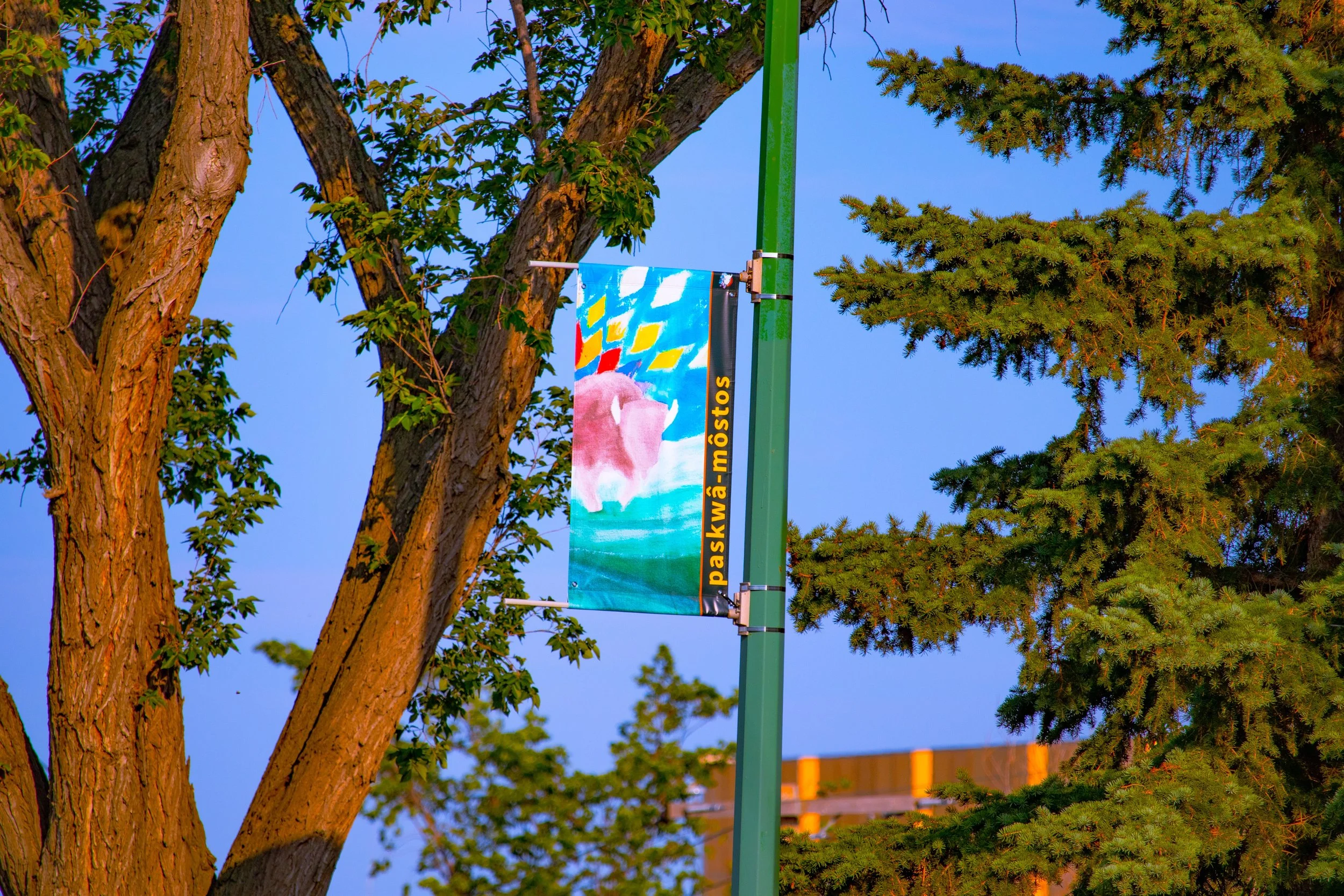 Buffalo Banners — Common Weal Community Arts