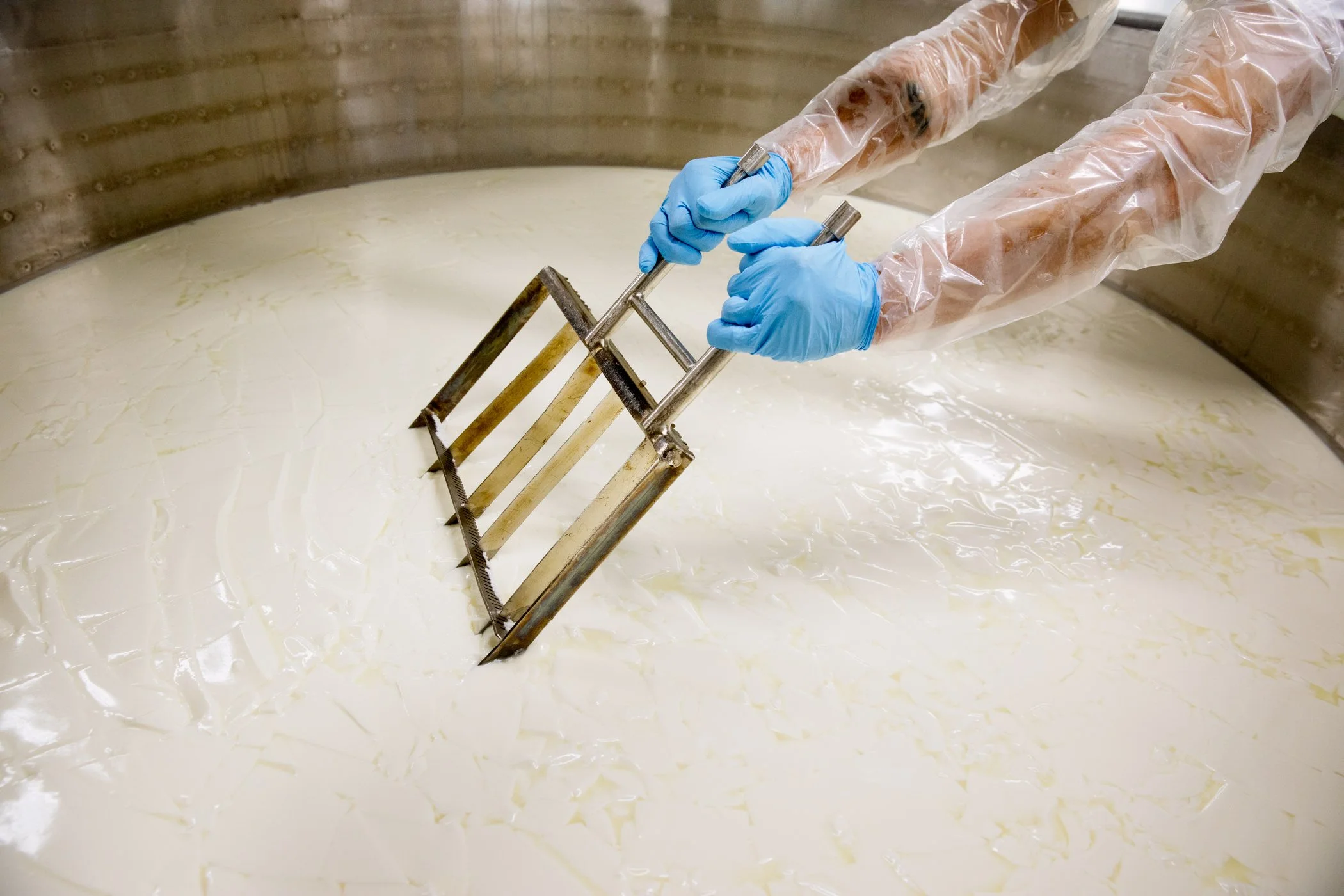 California Cheese Trail — Angela DeCenzo Photography