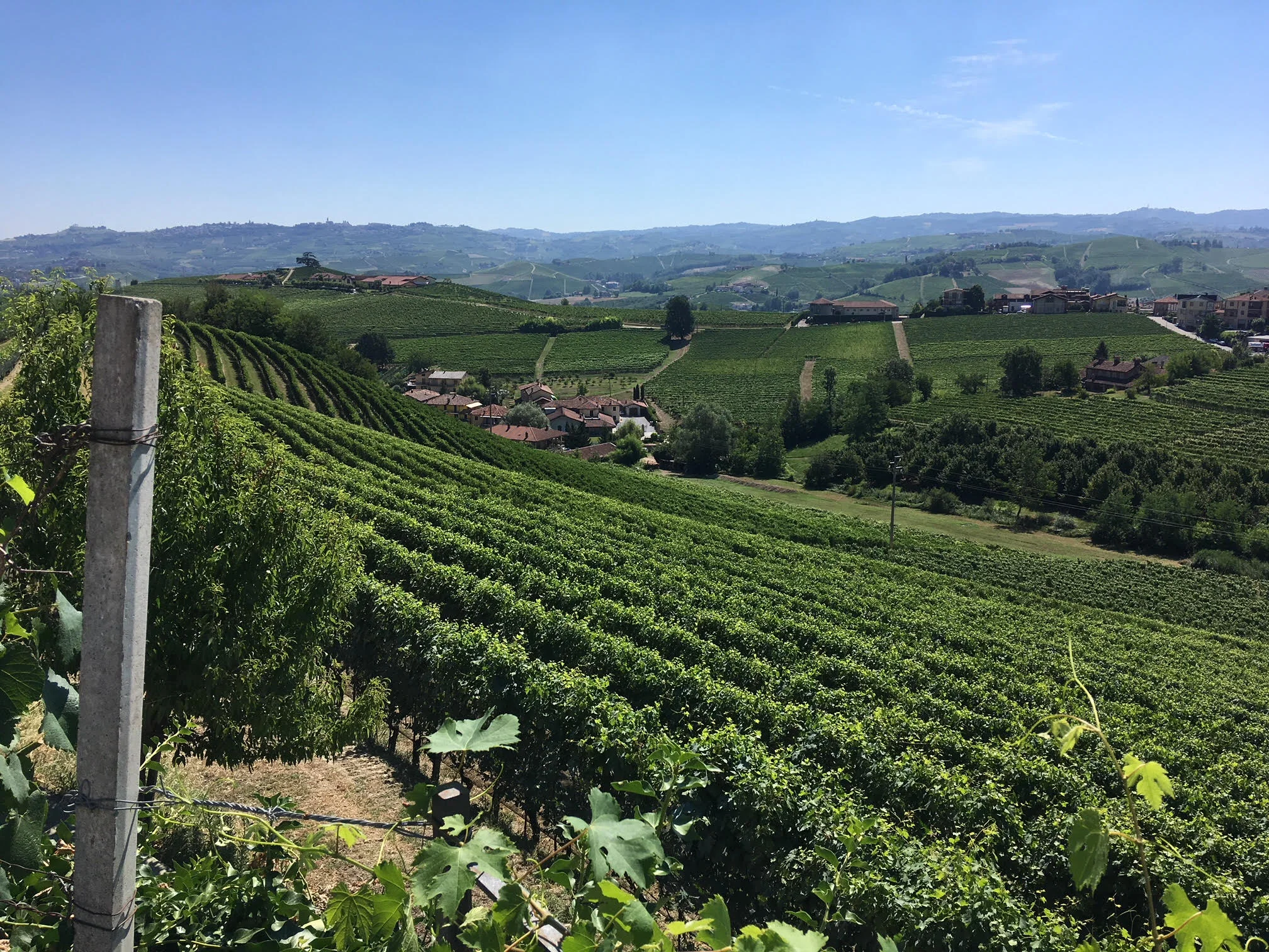 Wine travel — Serious Sip