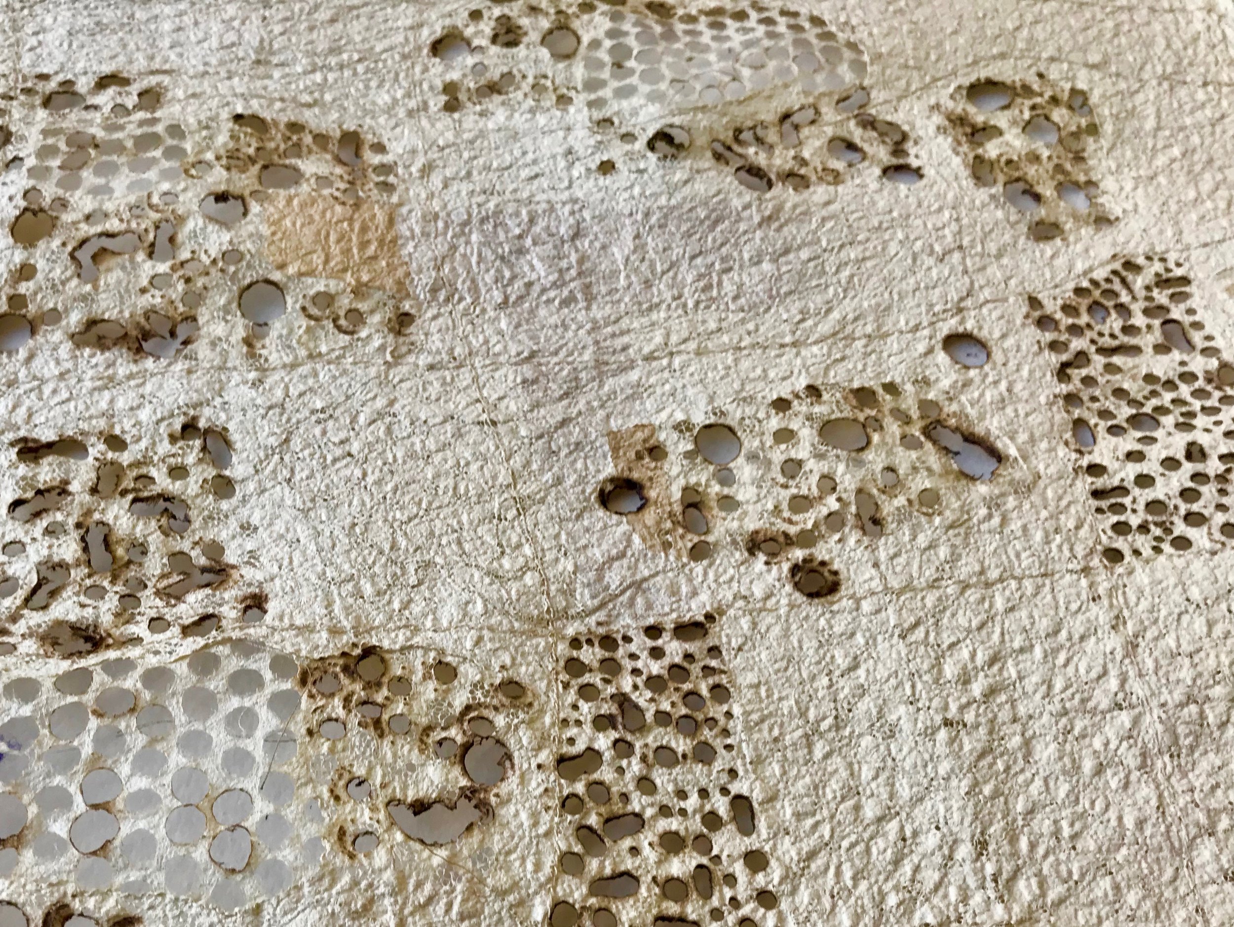 eva camacho Eva Camacho