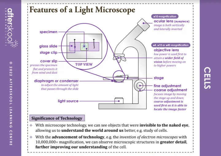 Free Science Notes for Sec 1 Students! — AfterSkool Learning Centre