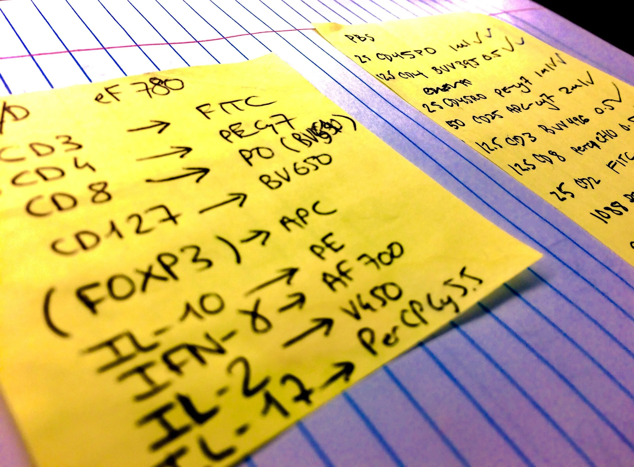 BLUESTONE LAB, UCSF — Jacqueline Howells