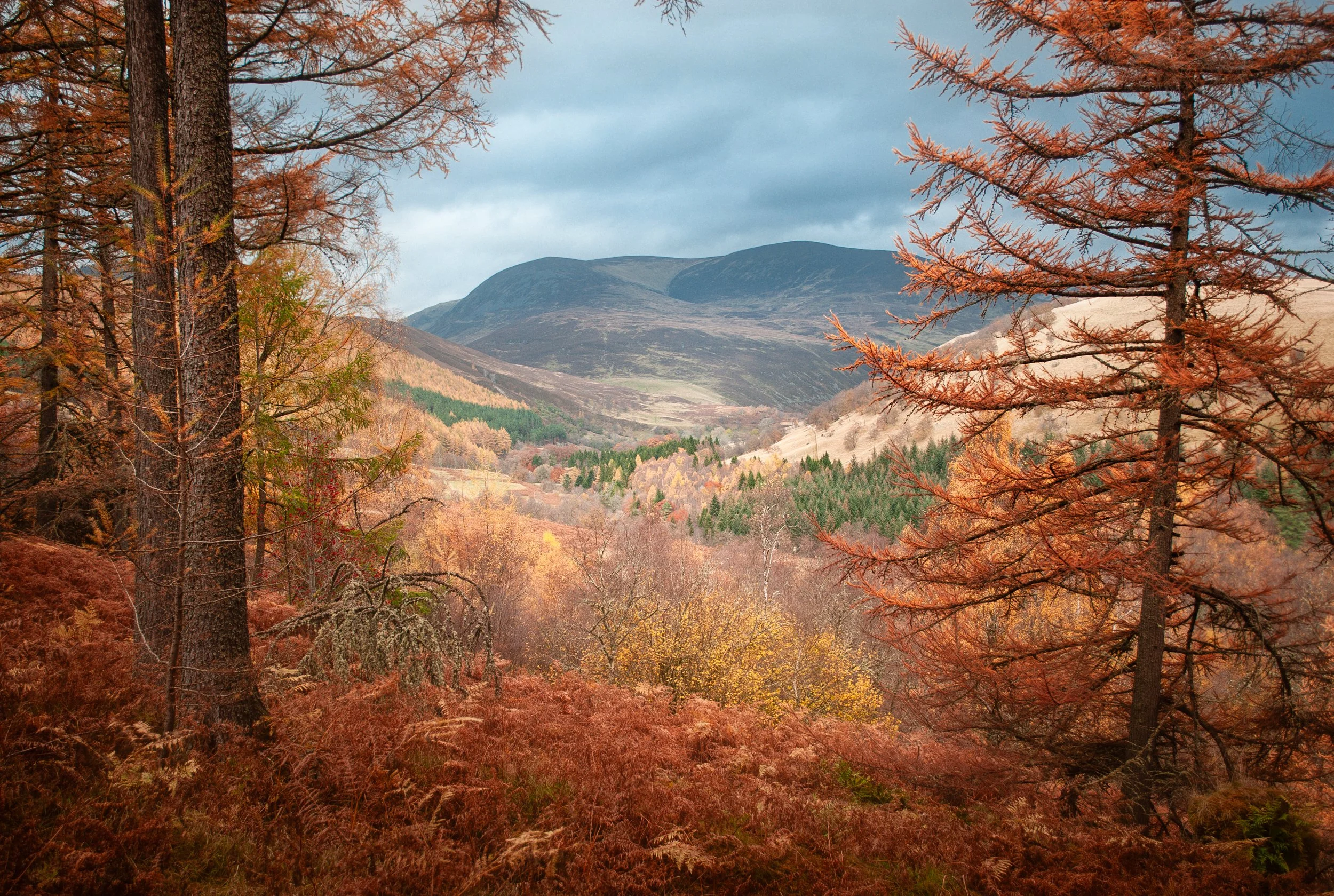 Using the Nikon D200 Alongside Modern Cameras