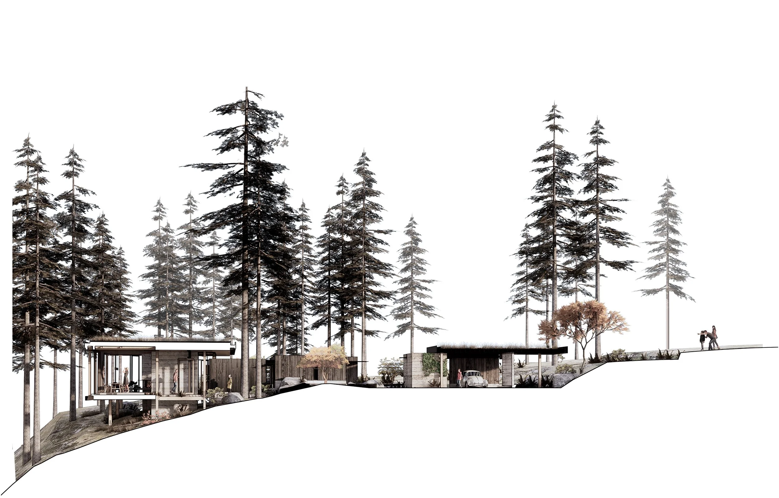longbranch — mwworks