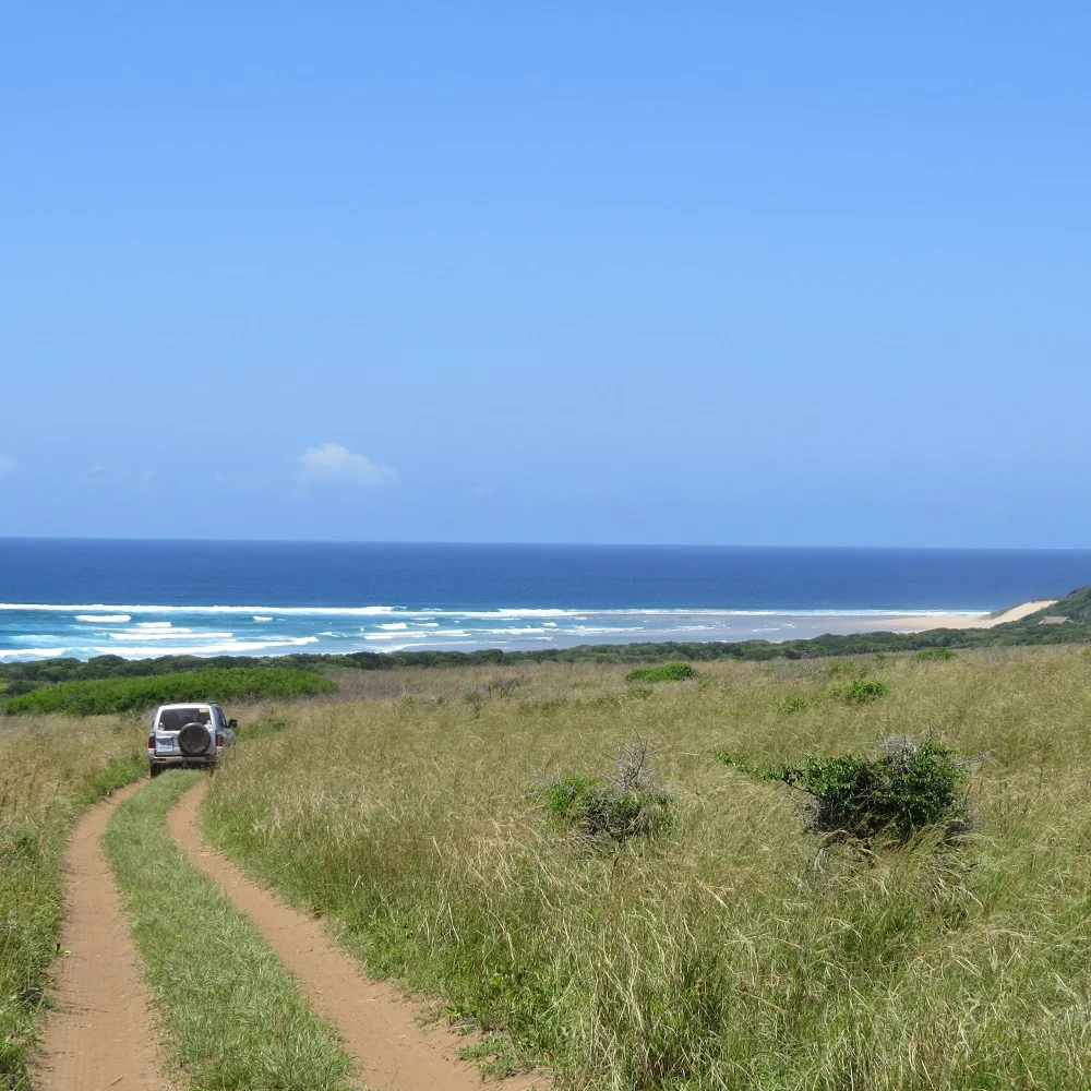 Mozambique travel and adventure photos — Roaming Fox | Travel Blogger ...