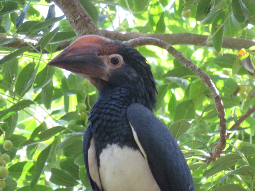 Mozambique travel and adventure photos — Roaming Fox | Travel Blogger ...