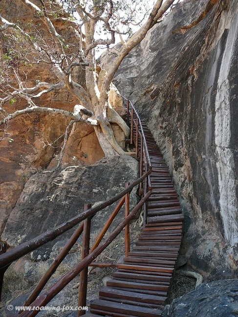 Camping in the ancient African kingdom of Mapungubwe — Roaming Fox ...