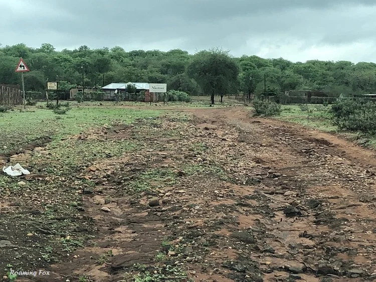 Nthakeni Bush Camp – Tranquil off the grid indulgence — Roaming Fox ...
