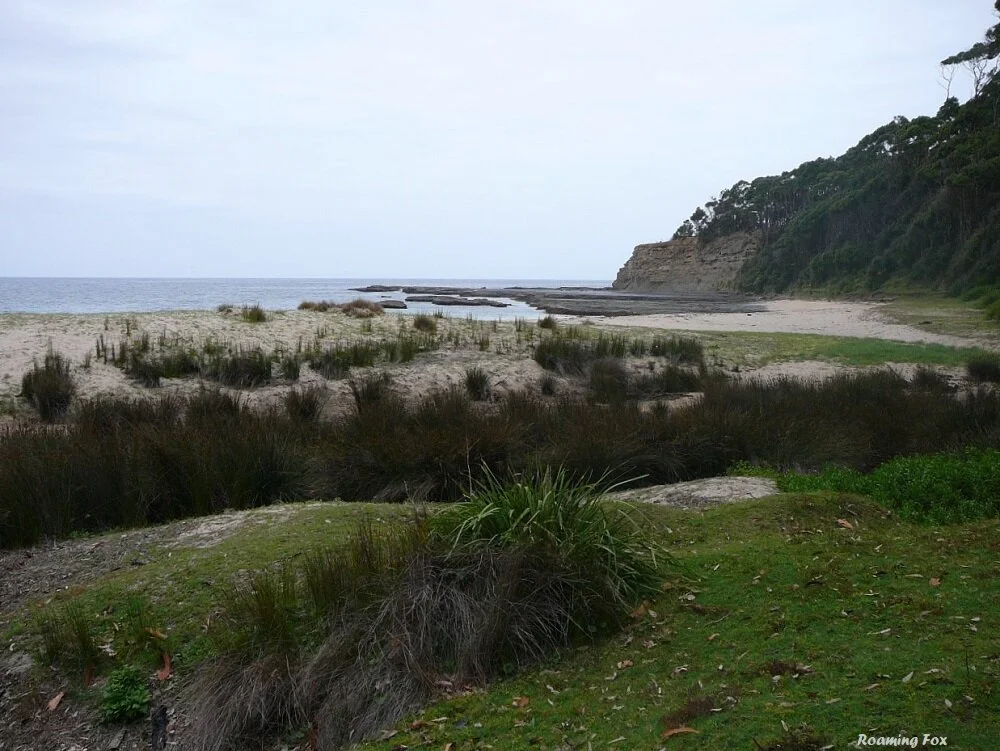 Depot Beach, hidden gem on the South Coast of New South Wales — Roaming ...