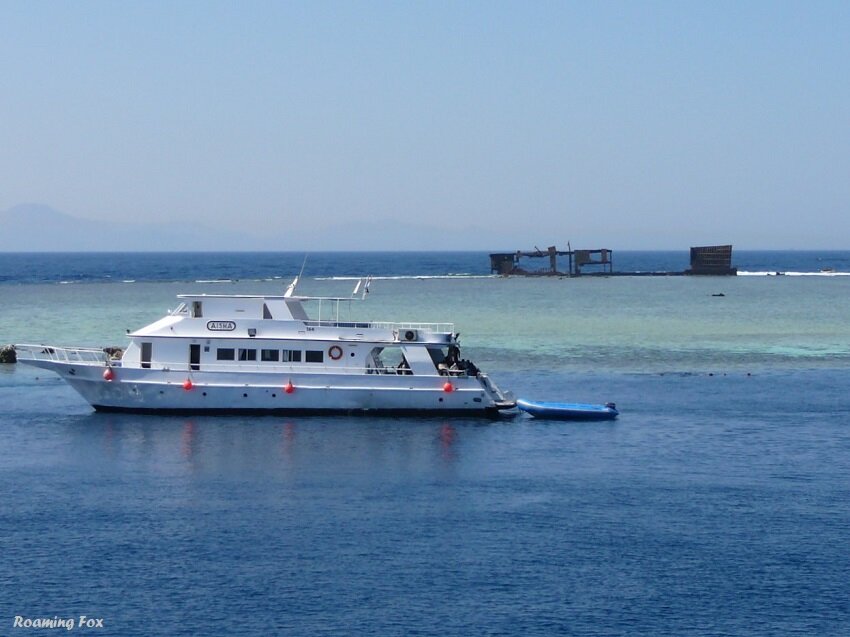 Sharm el Sheik, Red Sea liveaboard scuba diving — Roaming Fox | Travel ...