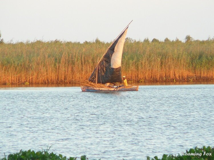 Epic road trip adventure to Pomene, Mozambique — Roaming Fox | Travel ...