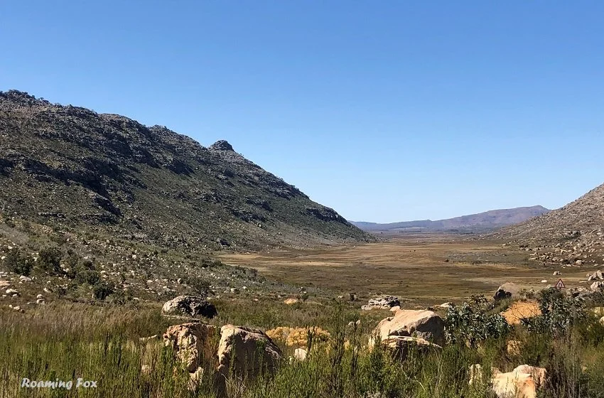 Scenic Cederberg Wilderness Rock Art and Caves — Roaming Fox | Travel ...
