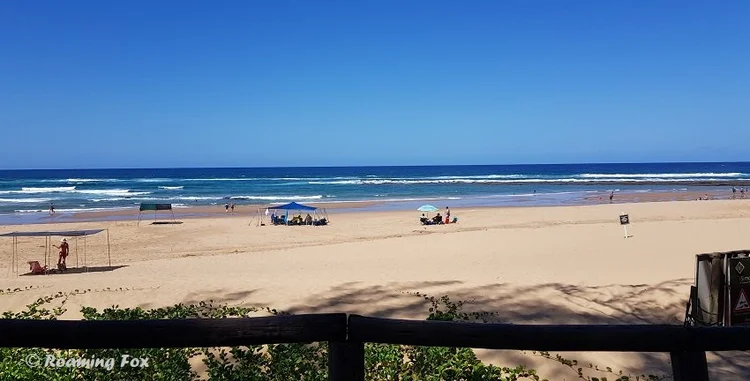 Rookie travel tips for South Africa — Roaming Fox | Travel Blogger and ...