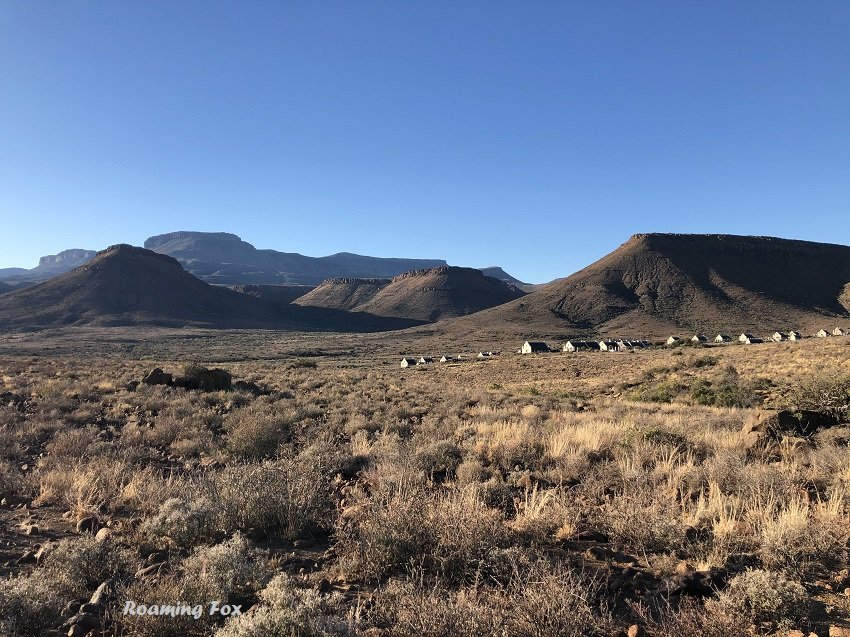 Ultimate experiences in South Africa — Roaming Fox | Travel Blogger and ...