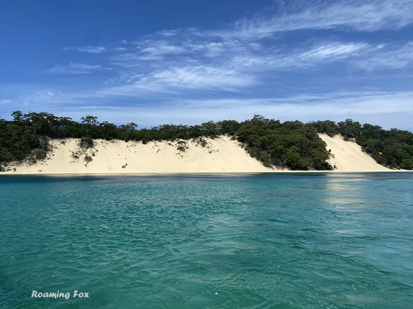 Brisbane Day Trip – Snorkel Tangalooma wrecks — Roaming Fox | Travel ...