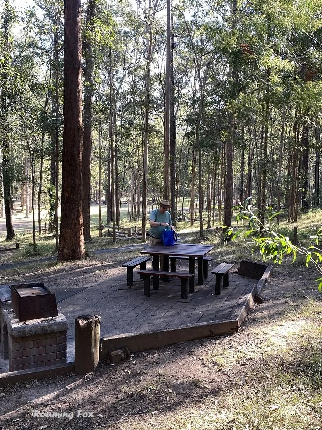 Brisbane Day Trips Daisy Hill Conservation Park — Roaming Fox | Travel ...