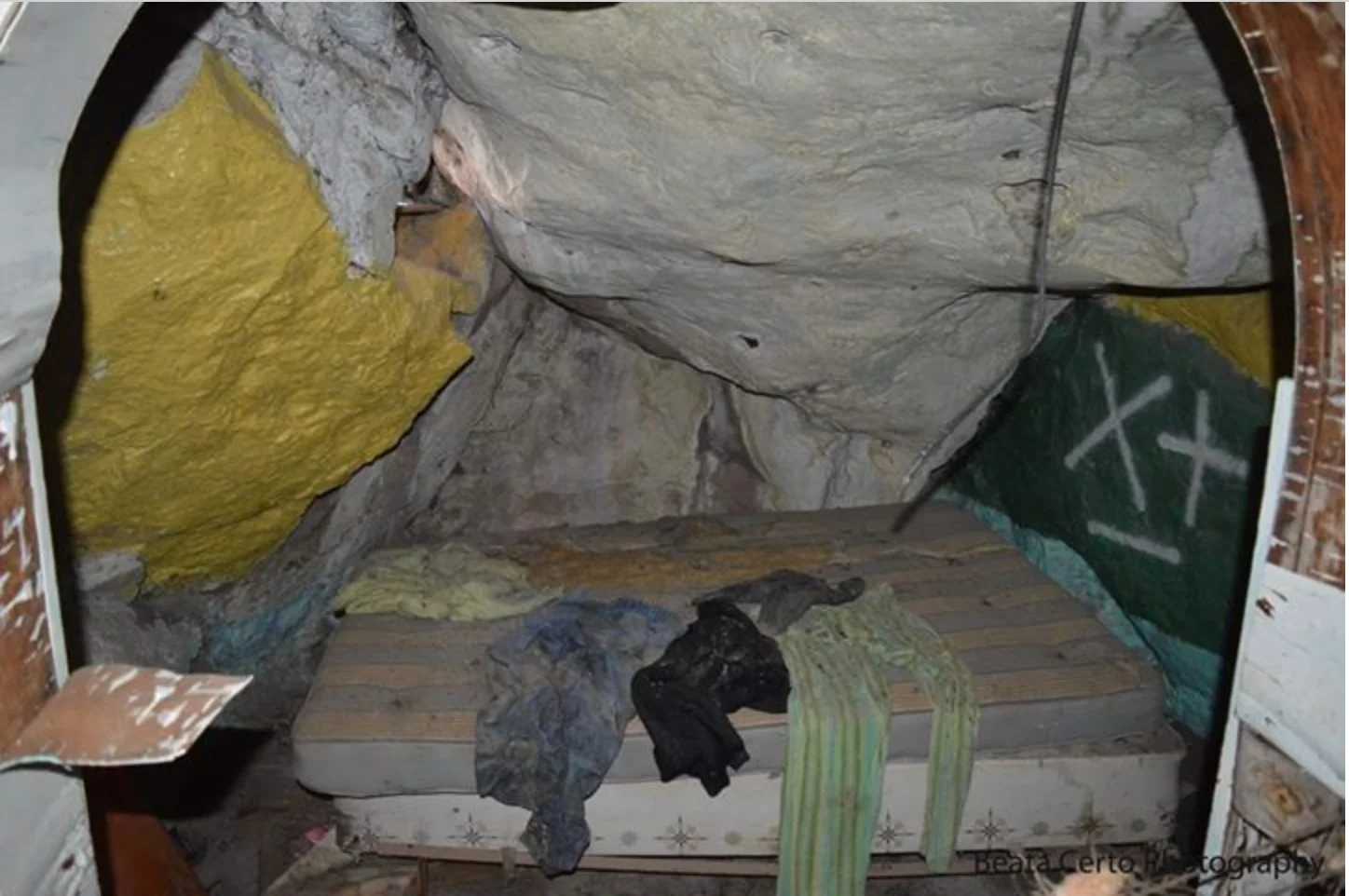 Case File — The Tara Calico Investigation