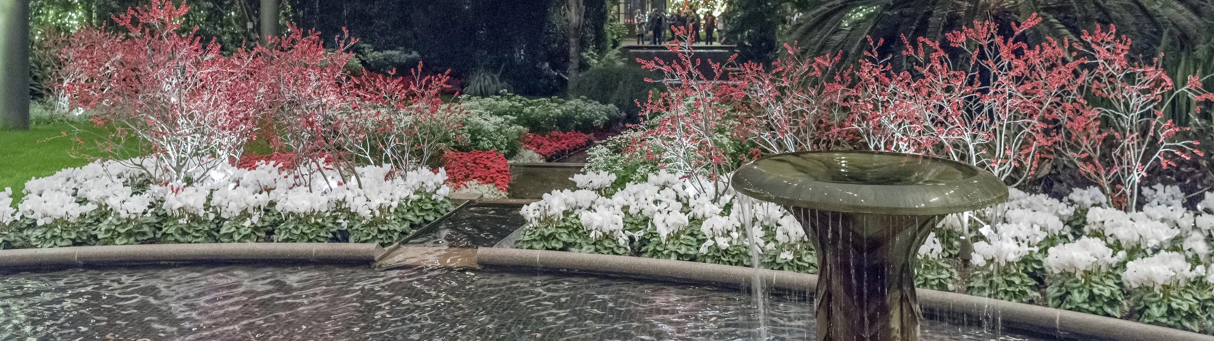 Gallery — Ikaika Images