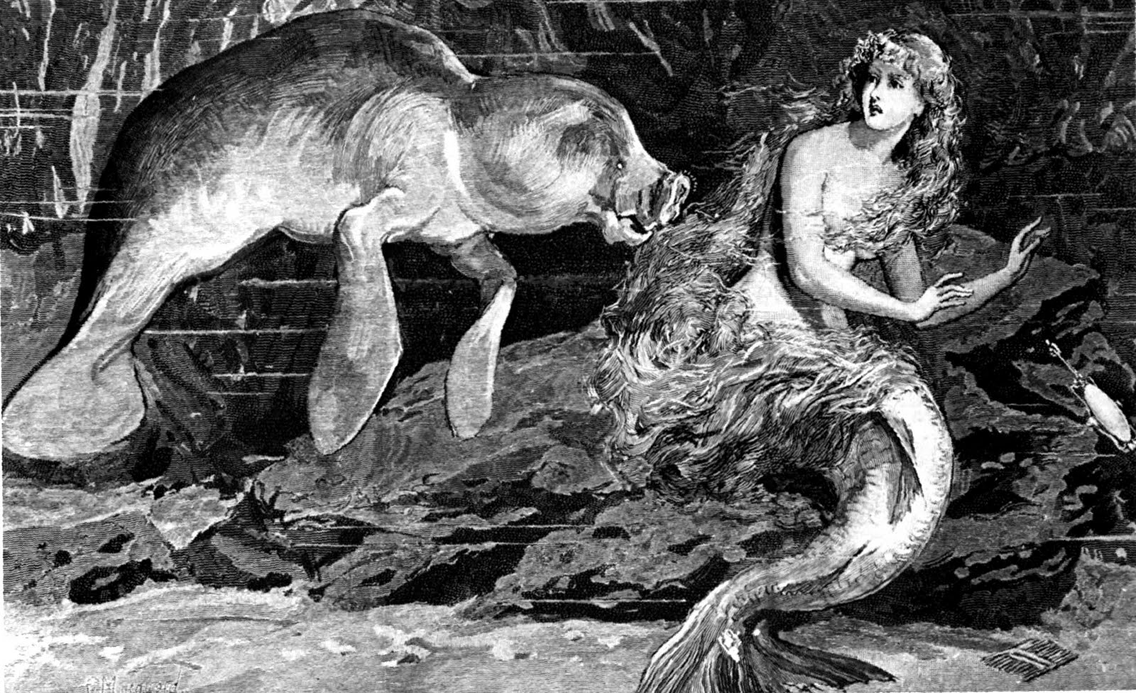 Top 7 Real Mermaid Sightings From Around The World — Beyond Science