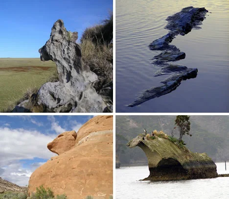 Real Animal-Shaped Rocks Sculpted by Nature — Beyond Science