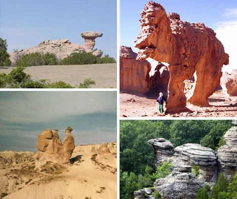 Real Animal-Shaped Rocks Sculpted by Nature — Beyond Science