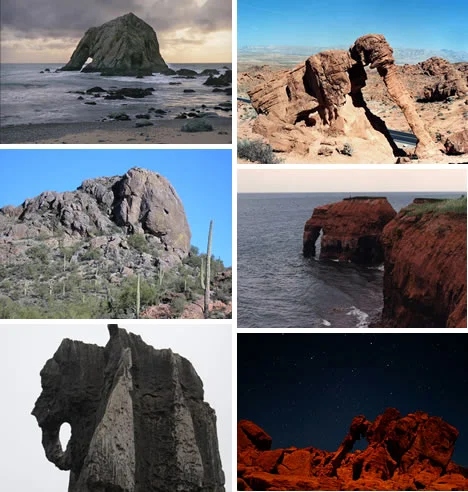 Real Animal-Shaped Rocks Sculpted by Nature — Beyond Science