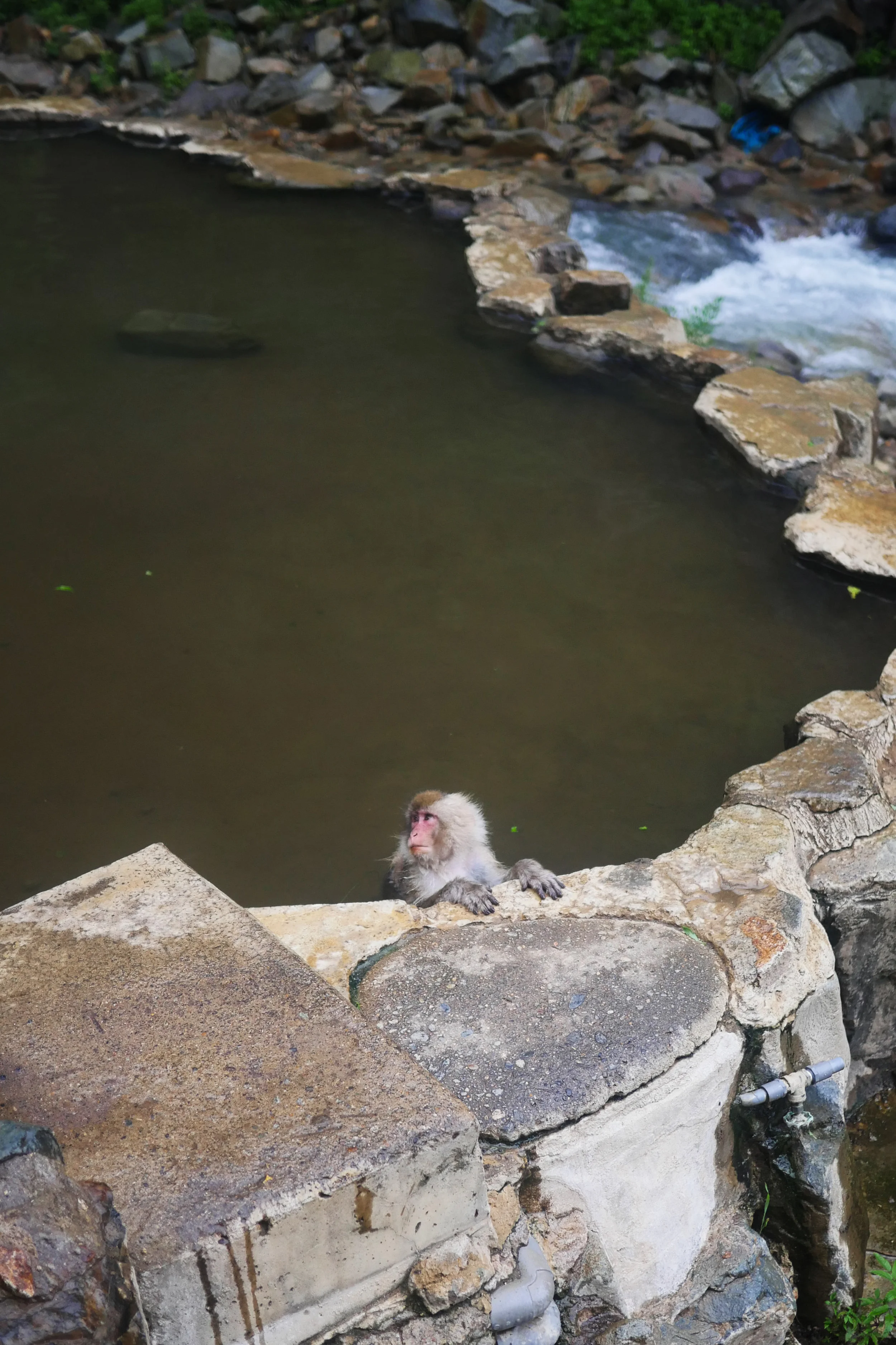 Japan — Mike Suchmann