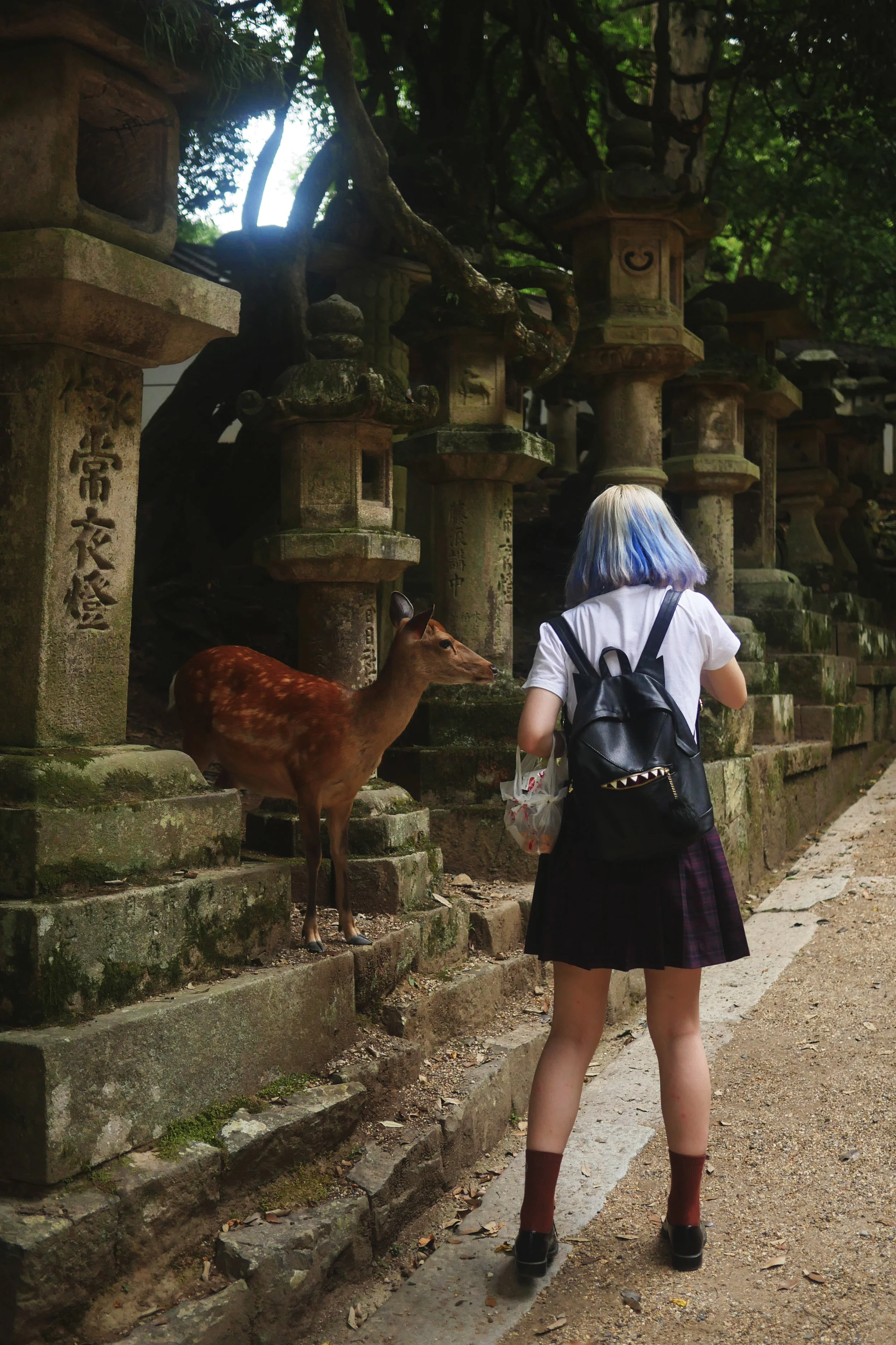 Japan — Mike Suchmann