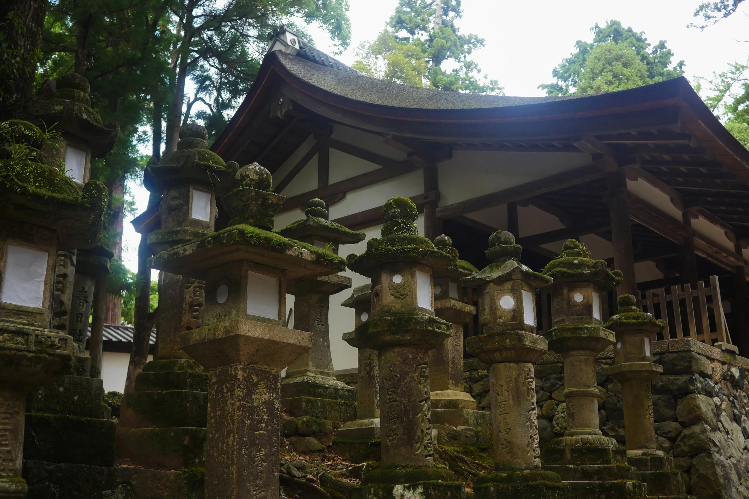 Japan — Mike Suchmann