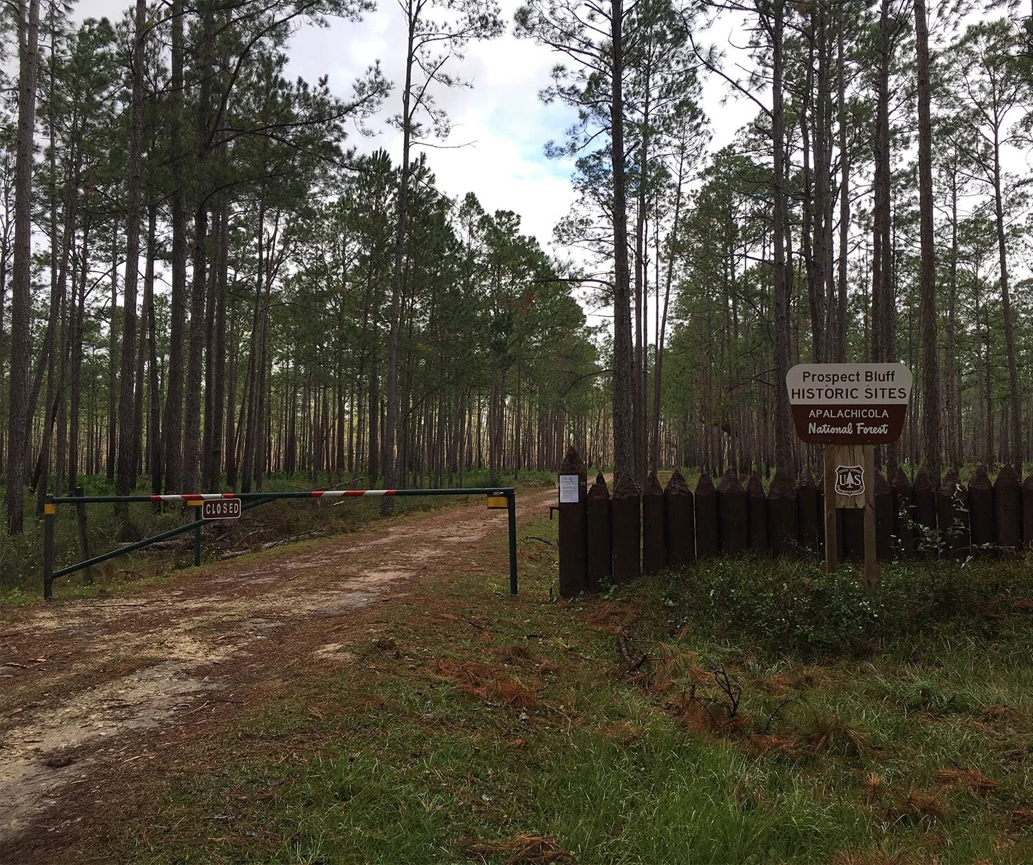 THE FOUR MOMENTS OF THE SUN: Hidden Lands of Florida's Maroon ...