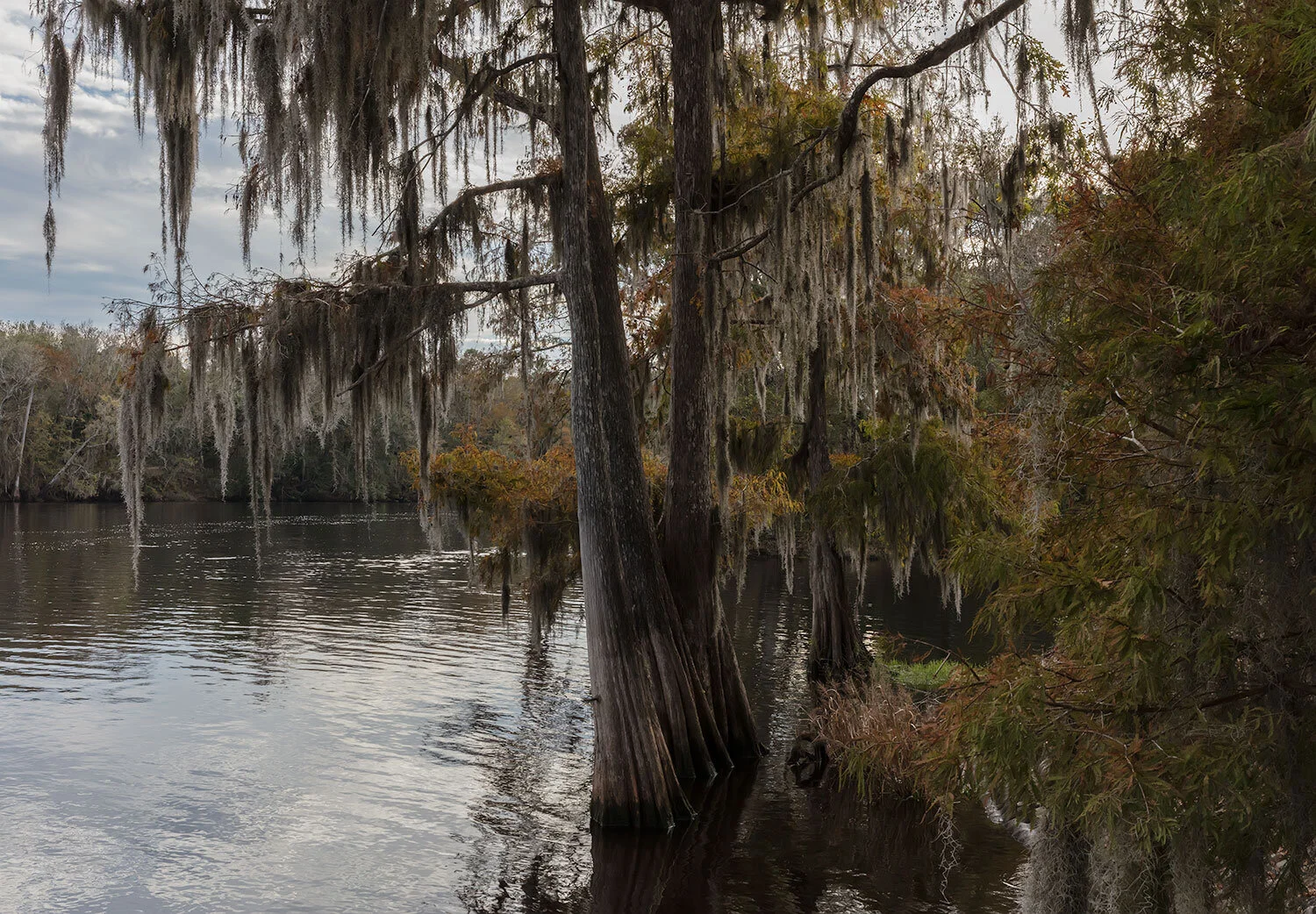 THE FOUR MOMENTS OF THE SUN: Hidden Lands of Florida's Maroon ...