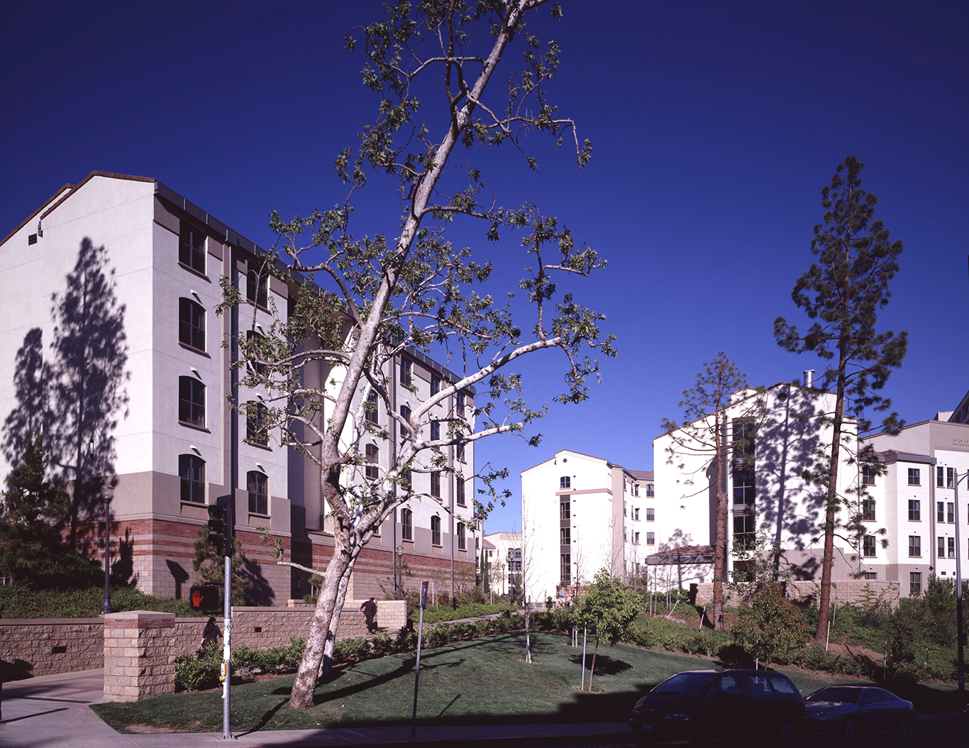 Ucla Campus Dorm Rooms