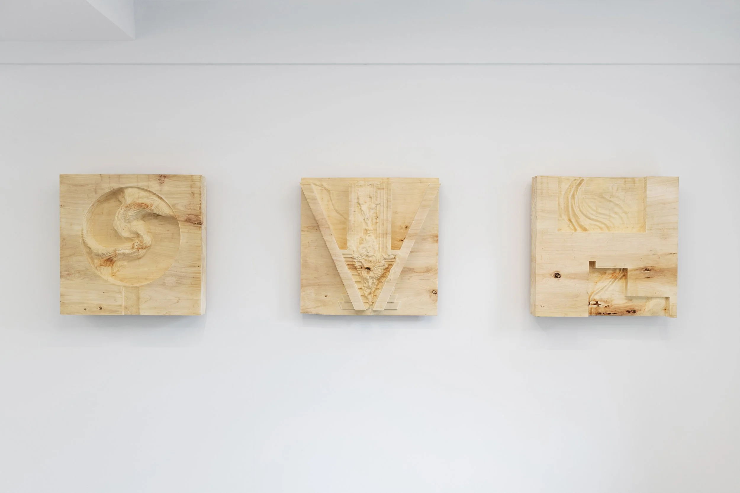 The Fragile Skin of the World — HAGGER