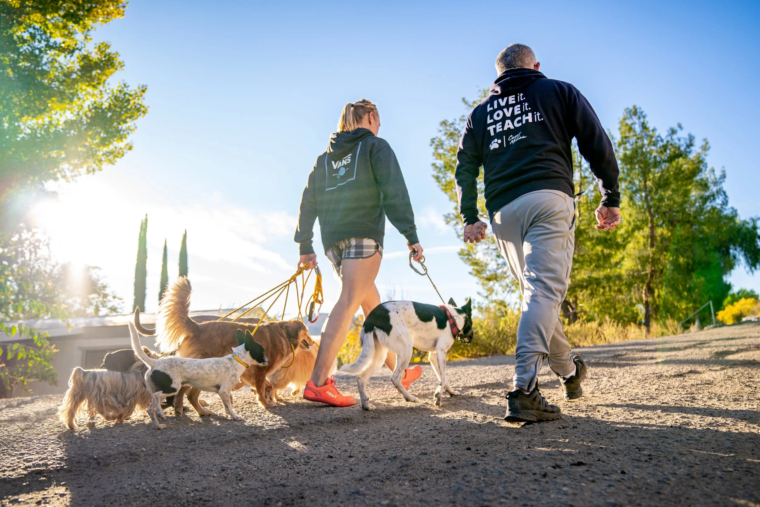 Paw Play Date Dog Walking and Training