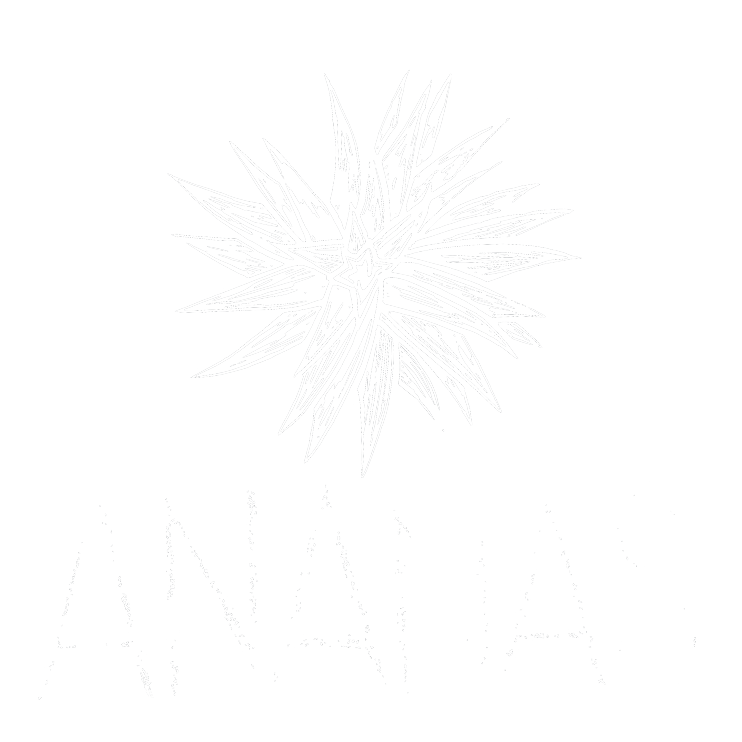 Ananas Design