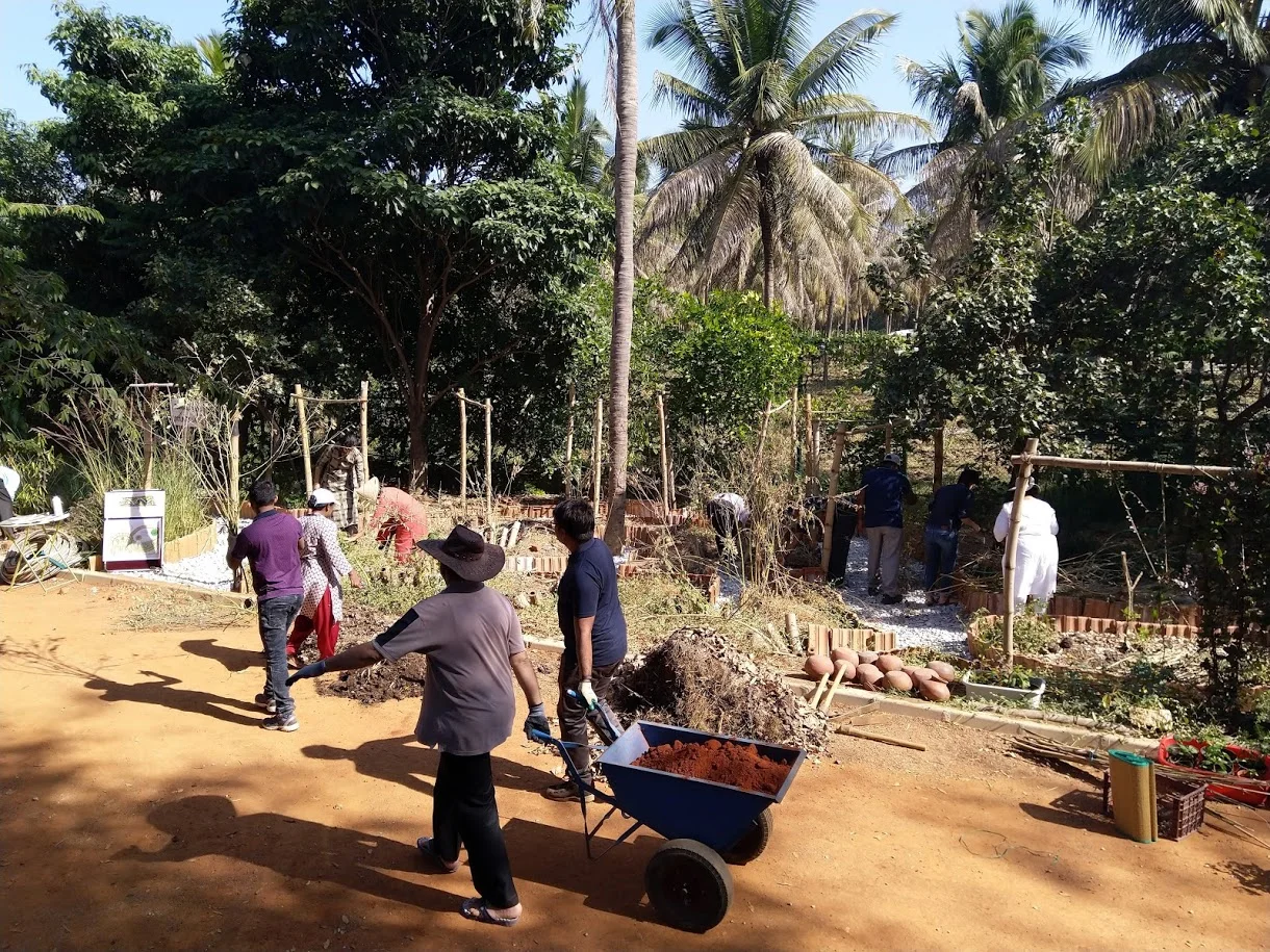 Jakkur Lake — Ananas