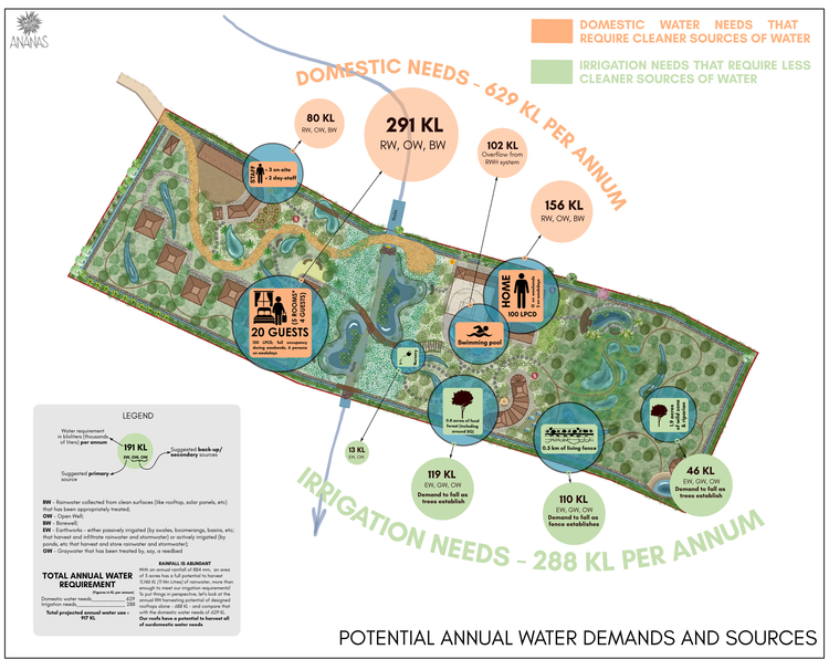 Harohalli — Ananas